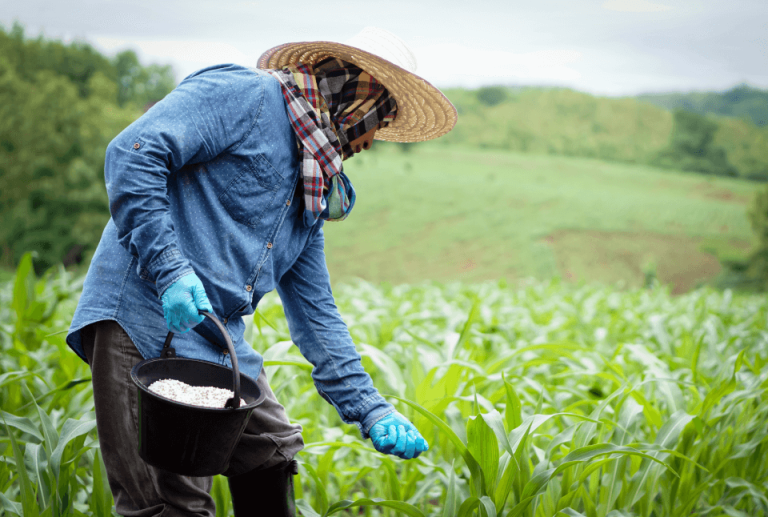 QAFCO | QATAR FERTILISER COMPANY